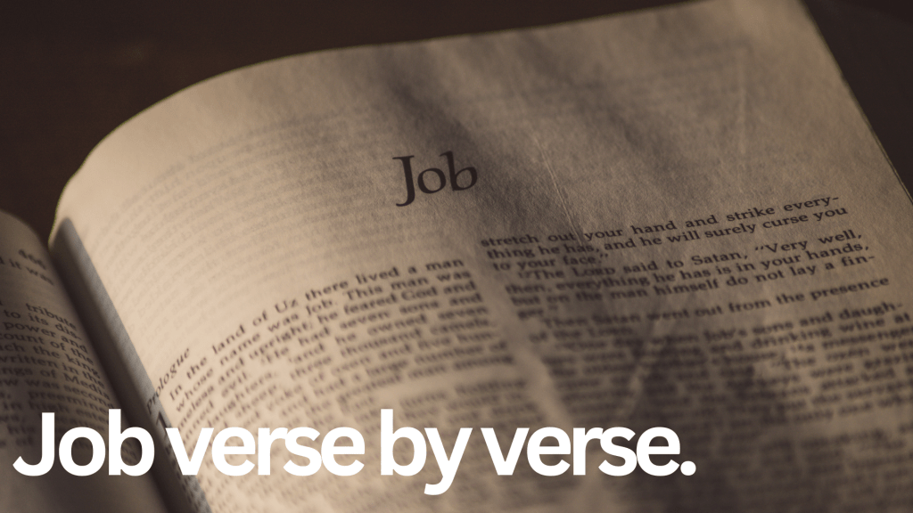 Exploring the Book of Job: Verse-by-Verse Reflections - My Bible ...