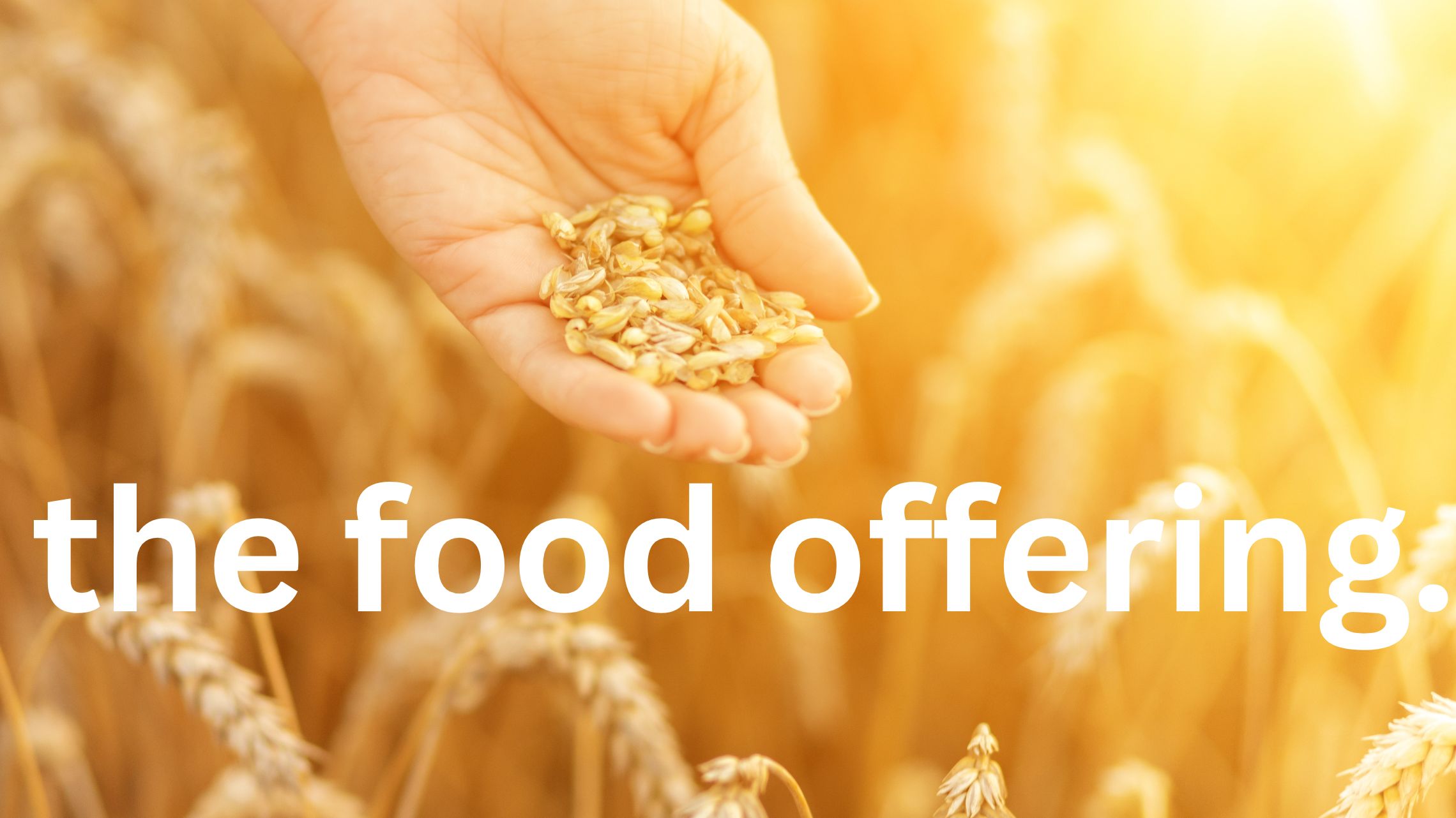 Leviticus 2: How the Food Offering Reveals the Heart of Christ